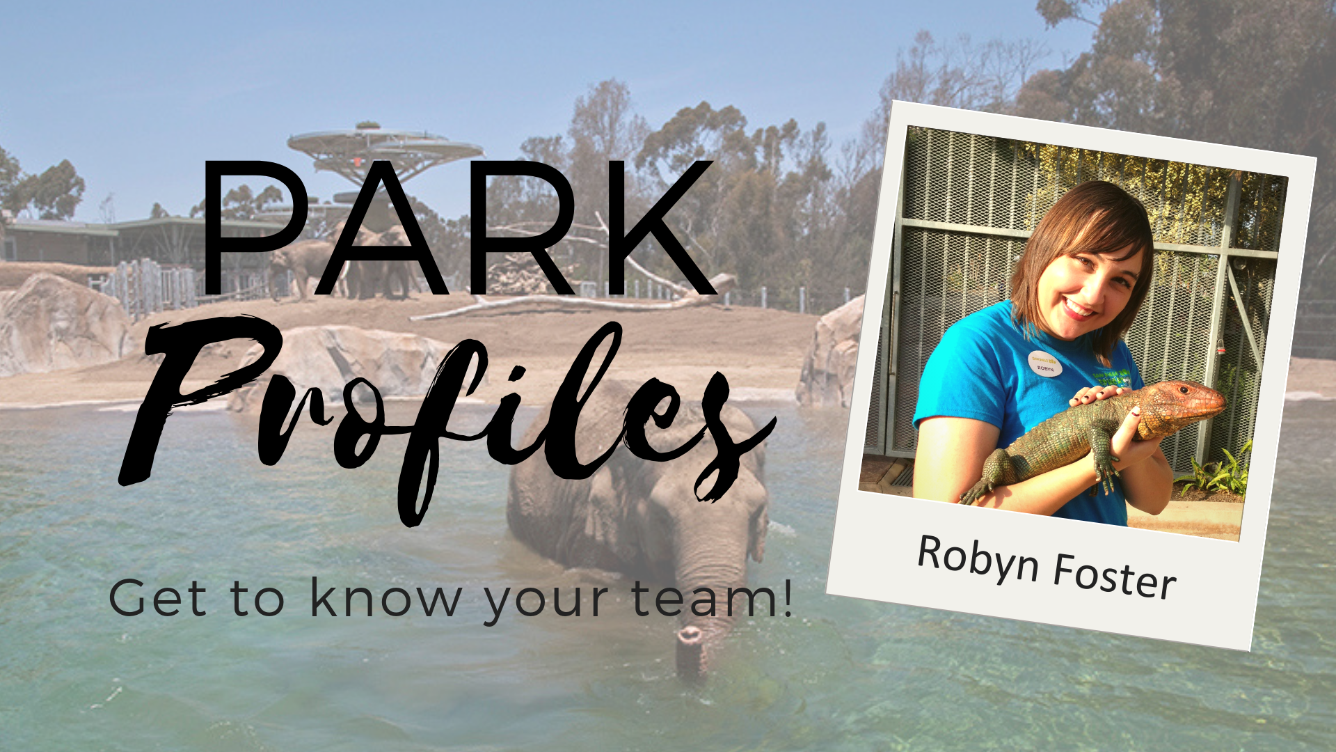 Meet Robyn Foster! - Balboa Park Cultural Partnership